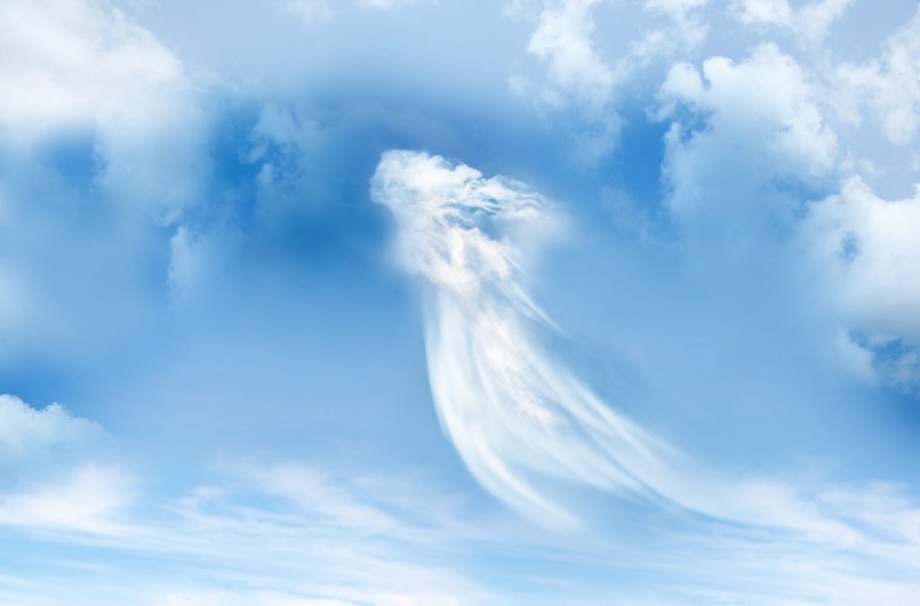 🥇 Sílfide [2023] 🥇 - Mitología y Ocultismo TenaChile